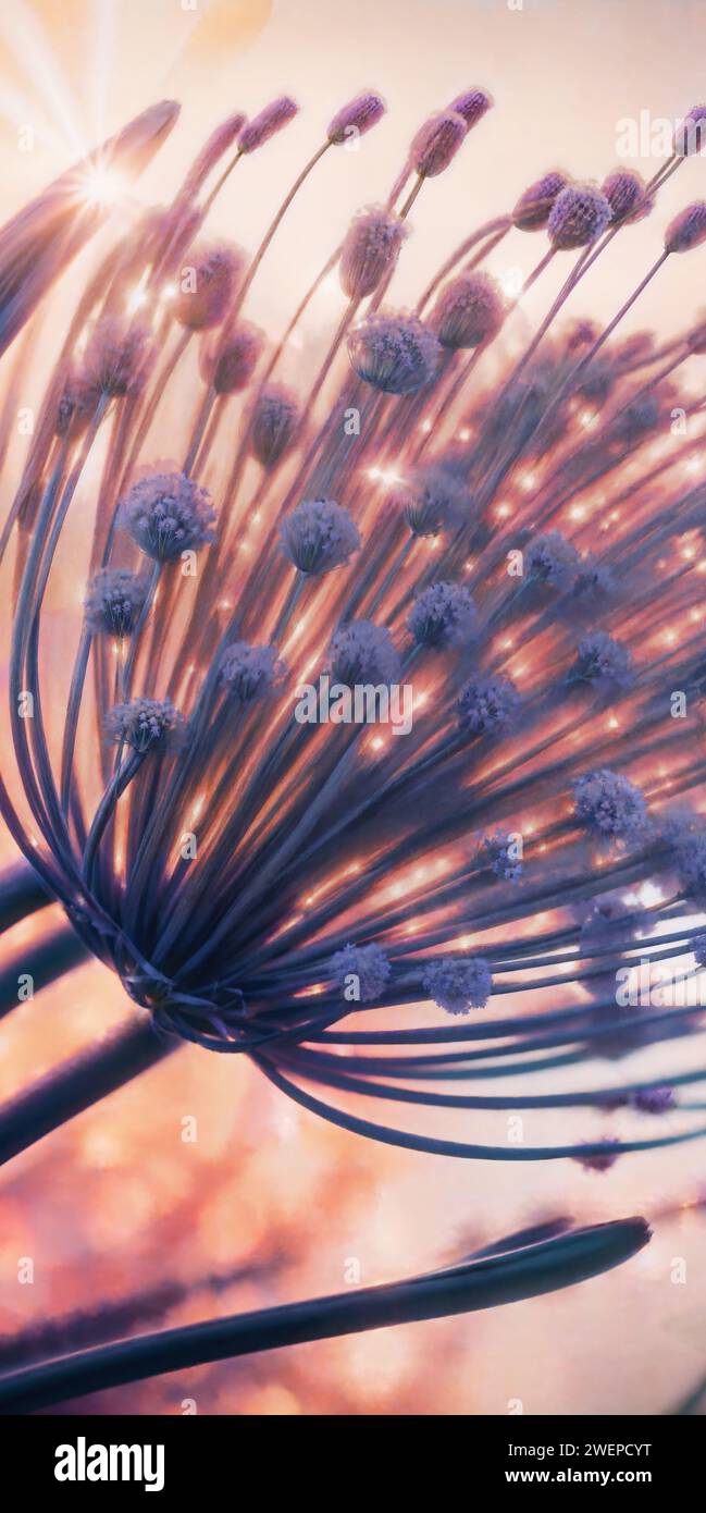 The flowers shimmer and blossom, transporting you into a world brimming ...