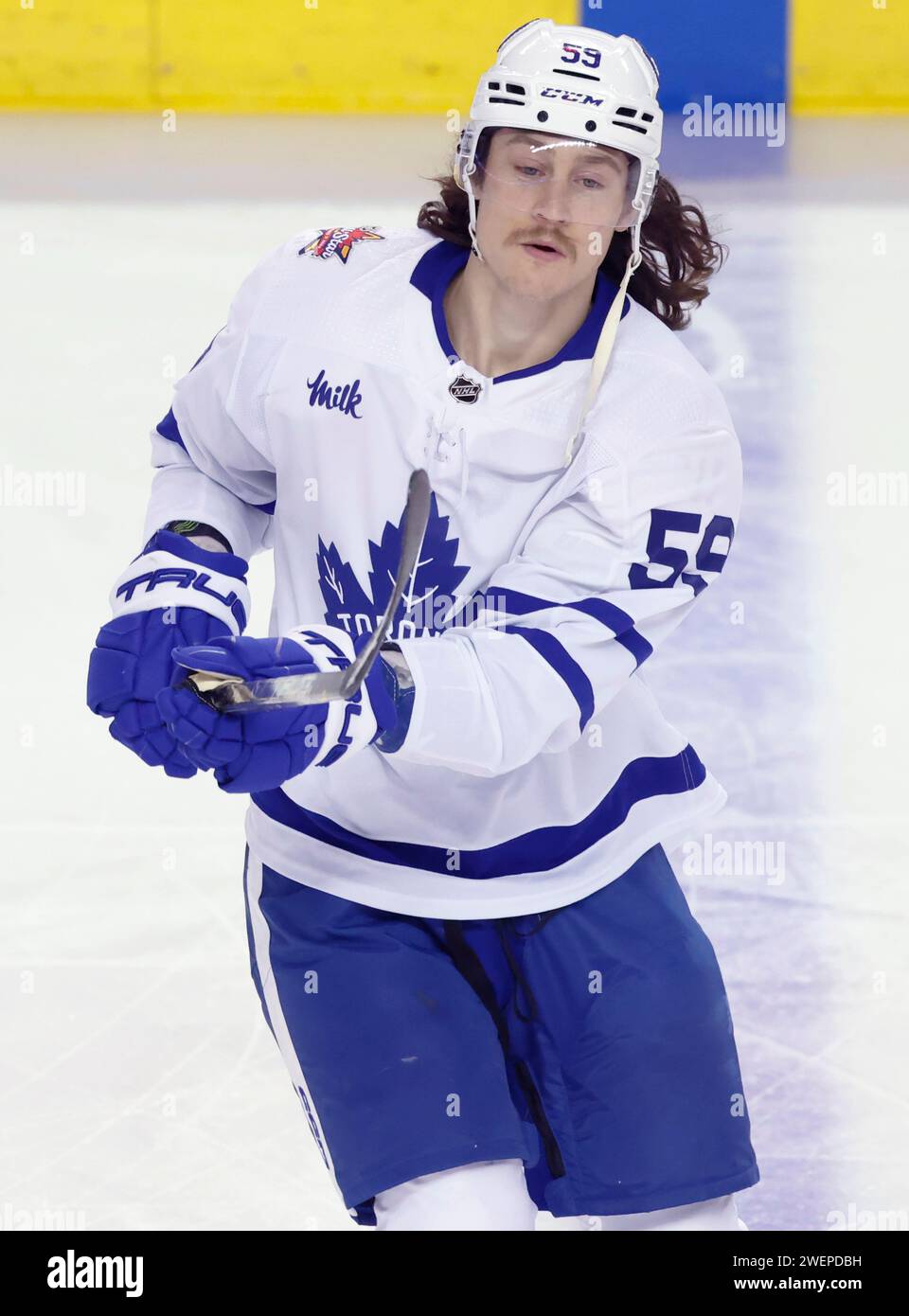 NHL profile photo on Toronto Maple Leafs player Tyler Bertuzzi at a ...