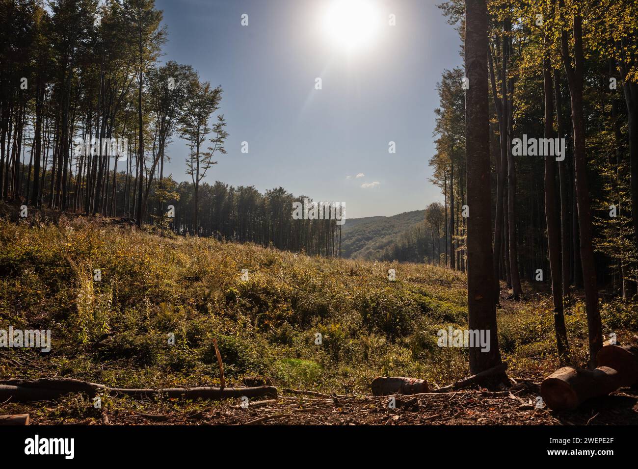 Papuk mounts hi-res stock photography and images - Alamy