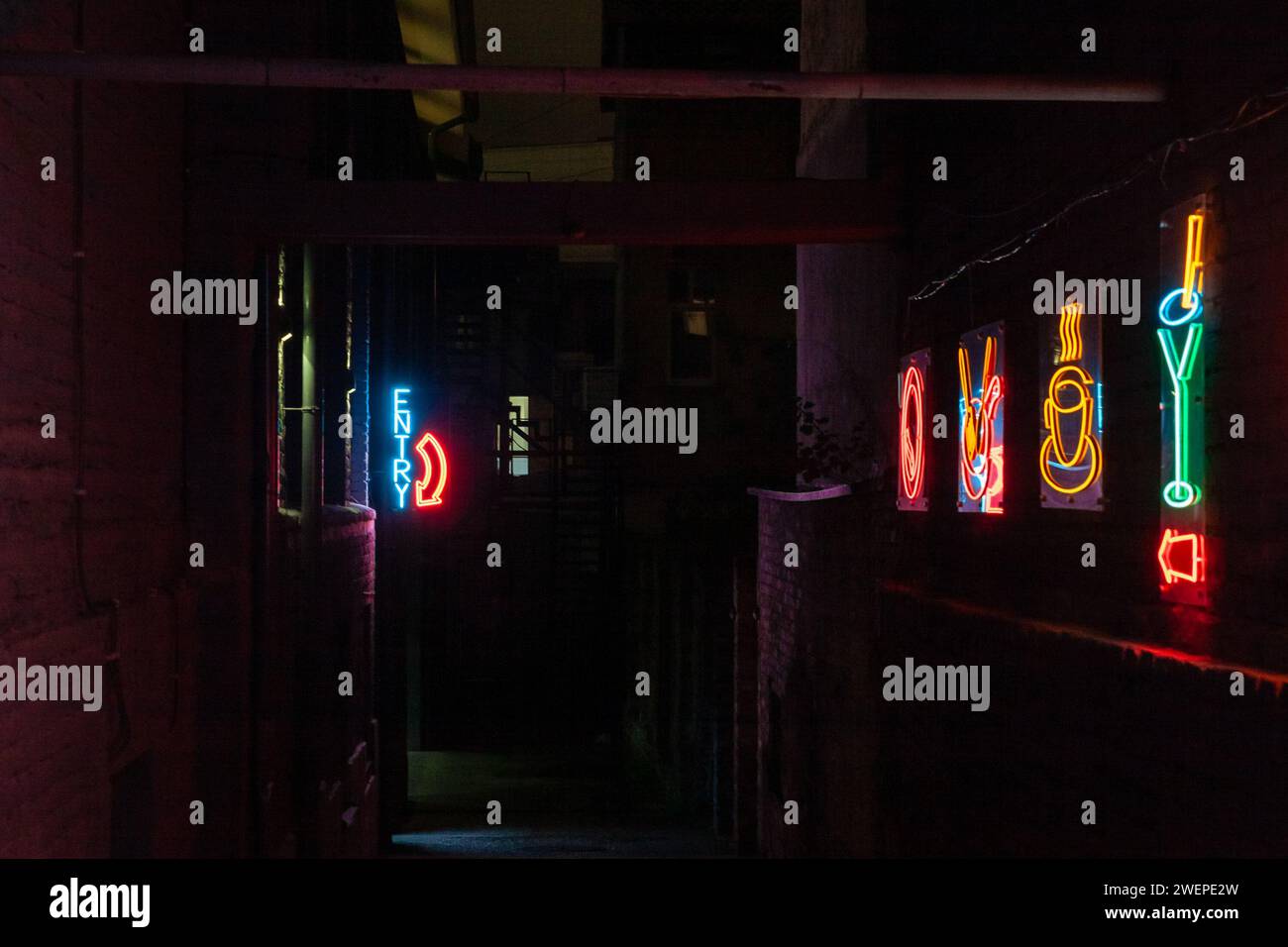 Picture of multicolor neon lights in a dark street of Belgrade, Serbia ...