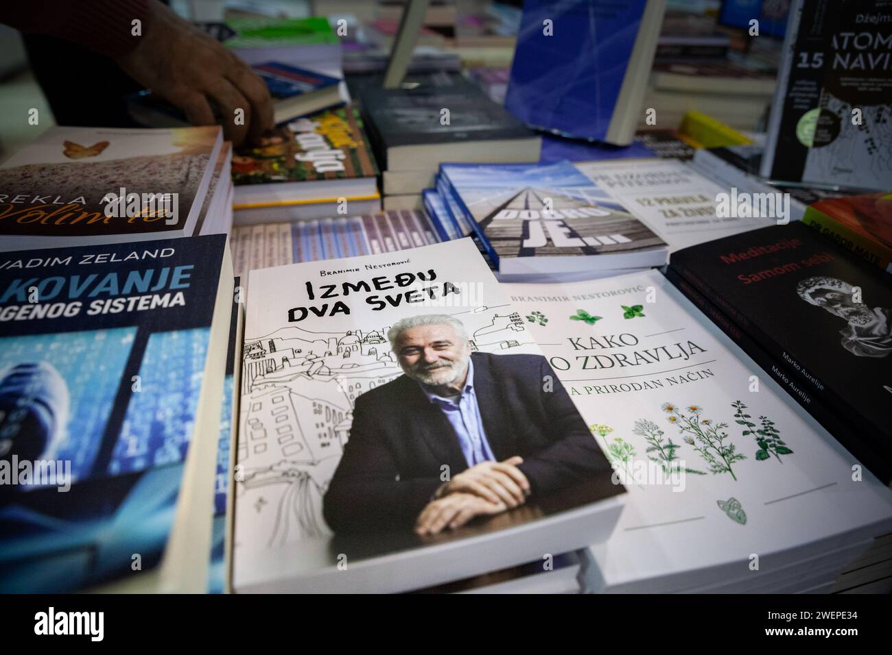 Branimir nestorovic hi-res stock photography and images - Alamy