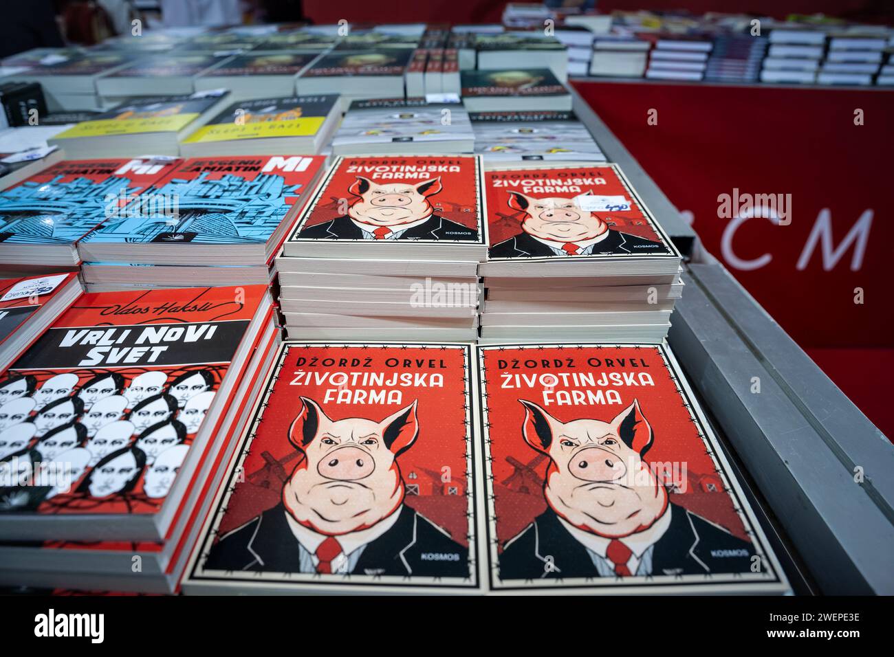 Picture of the cover of Animal Farm from george orwell on a shelf of a ...