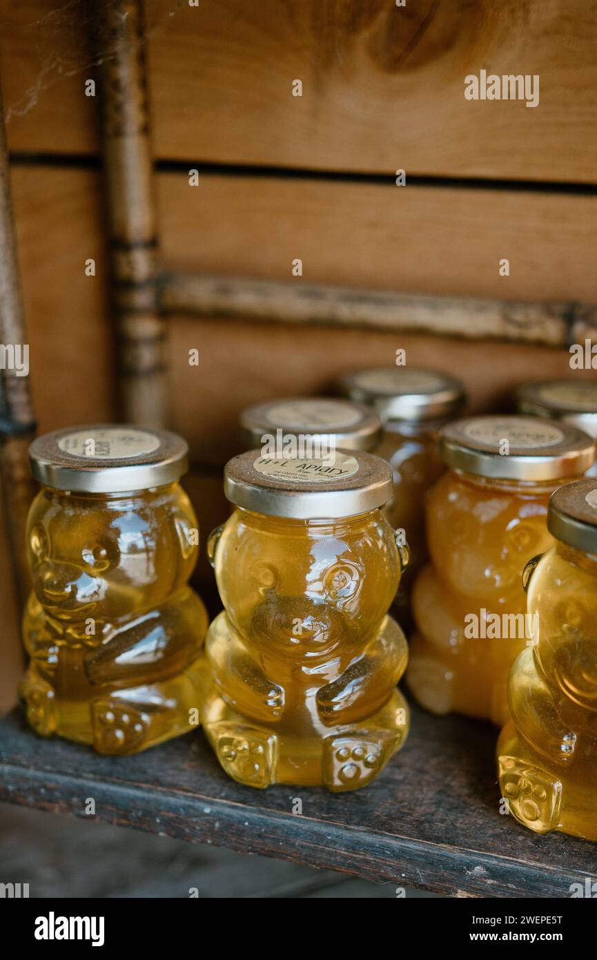 Some honey bears neatly arranged on a shelf, ready for sale and stacked ...