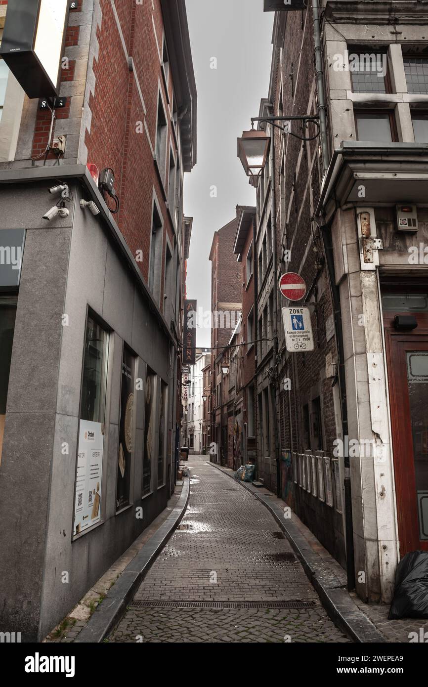 Picture of a typical street of the city center of Liege, Belgium, rue ...
