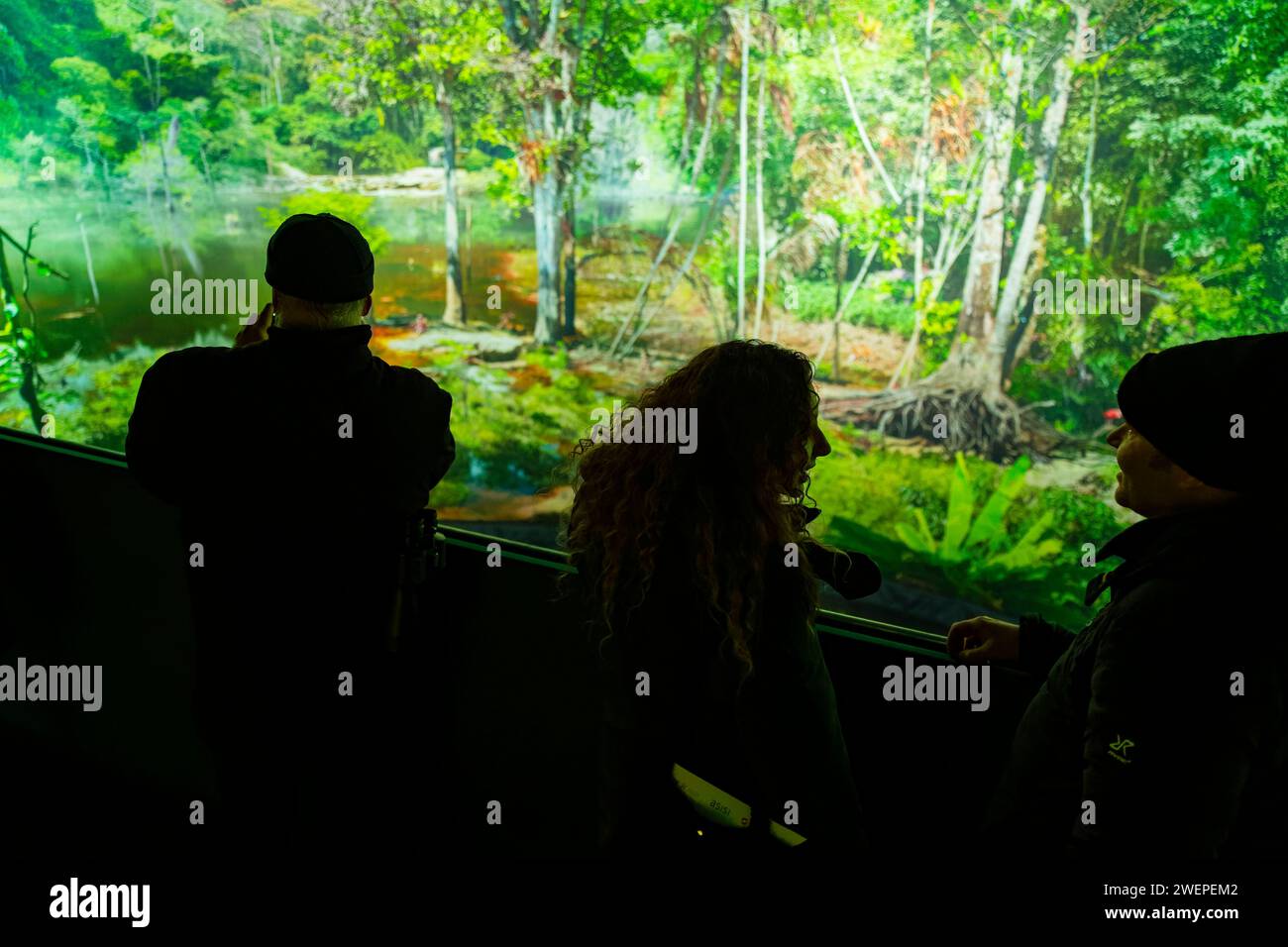 Panometer Dresden AMAZONIEN Faszination tropischer Regenwald ist ein ...