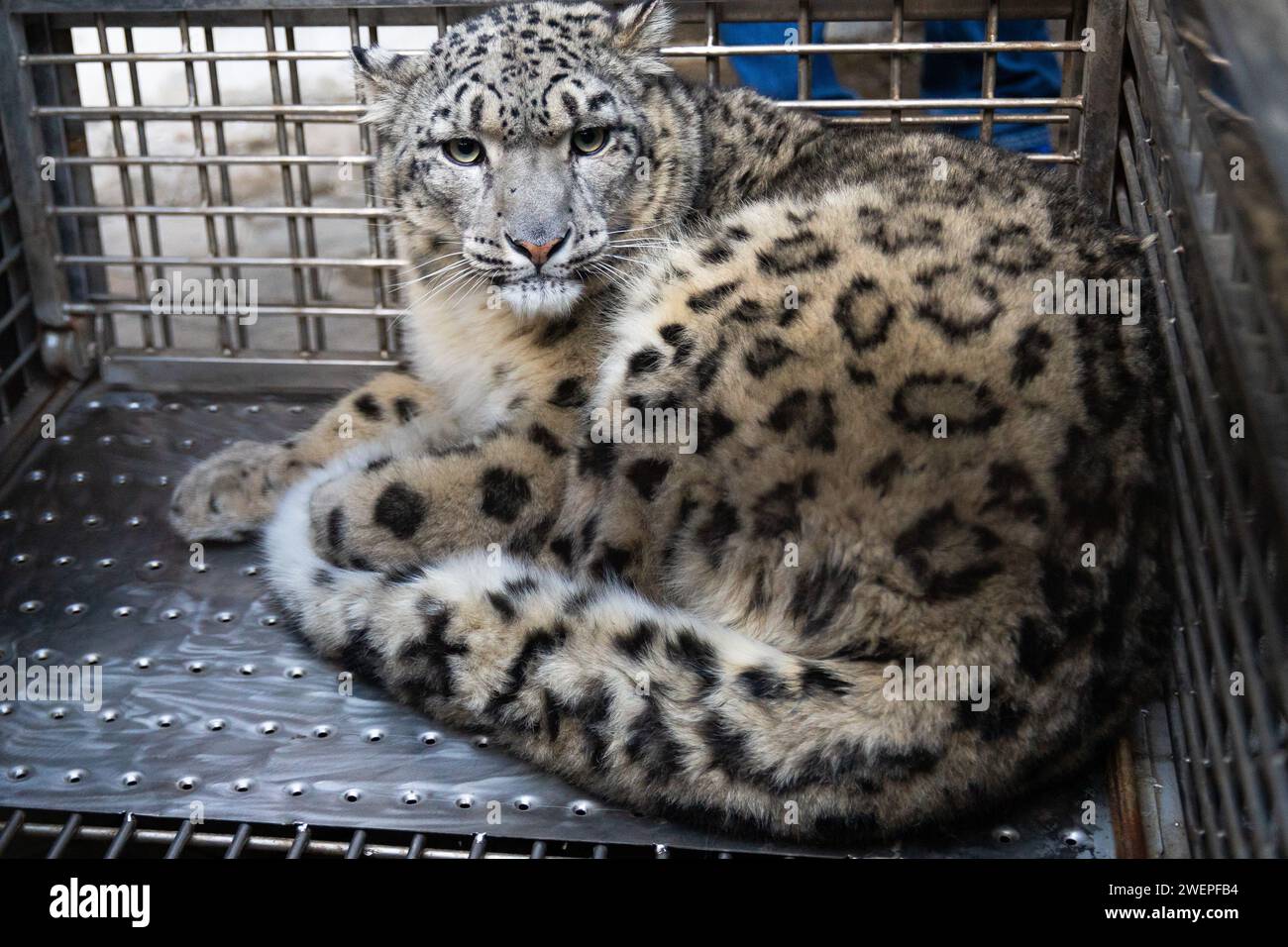 Lowland regions hi-res stock photography and images - Alamy