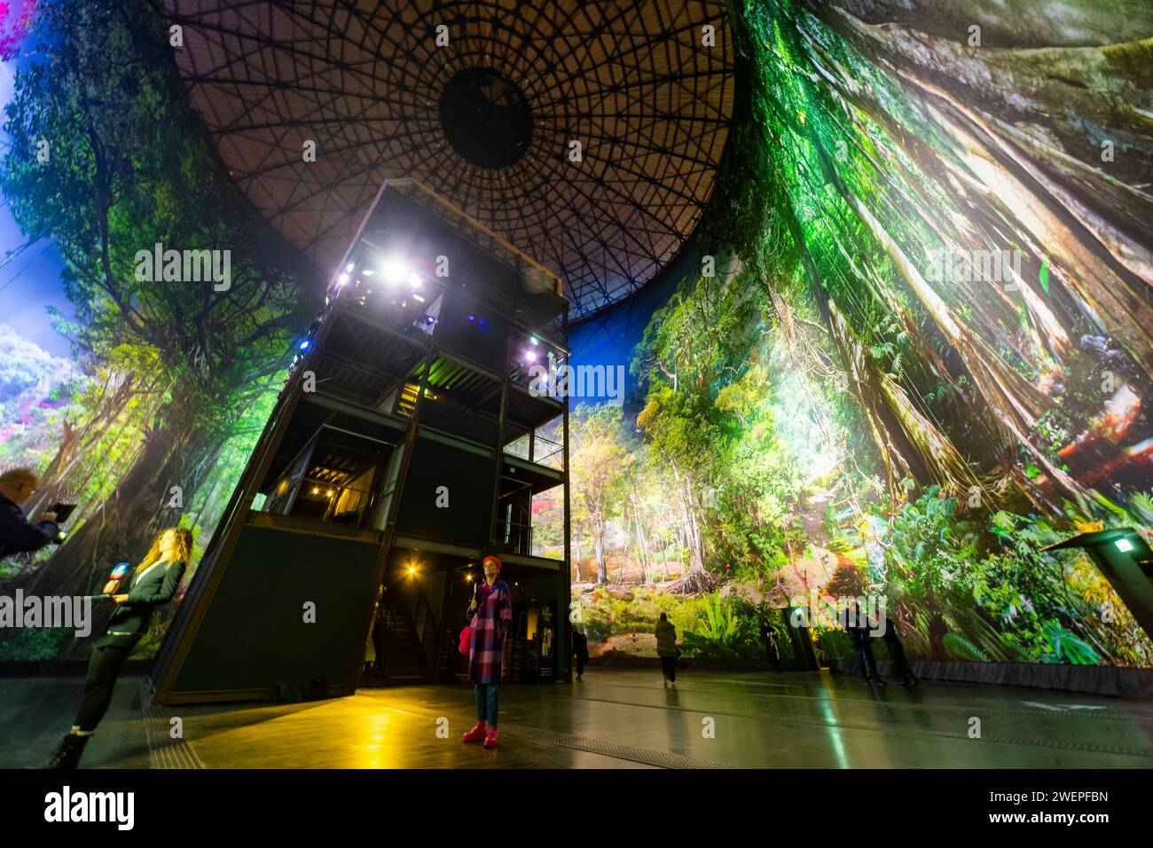 Panometer Dresden AMAZONIEN Faszination tropischer Regenwald ist ein ...