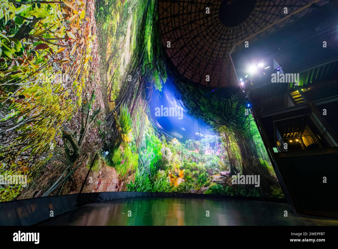 Panometer Dresden AMAZONIEN Faszination tropischer Regenwald ist ein ...