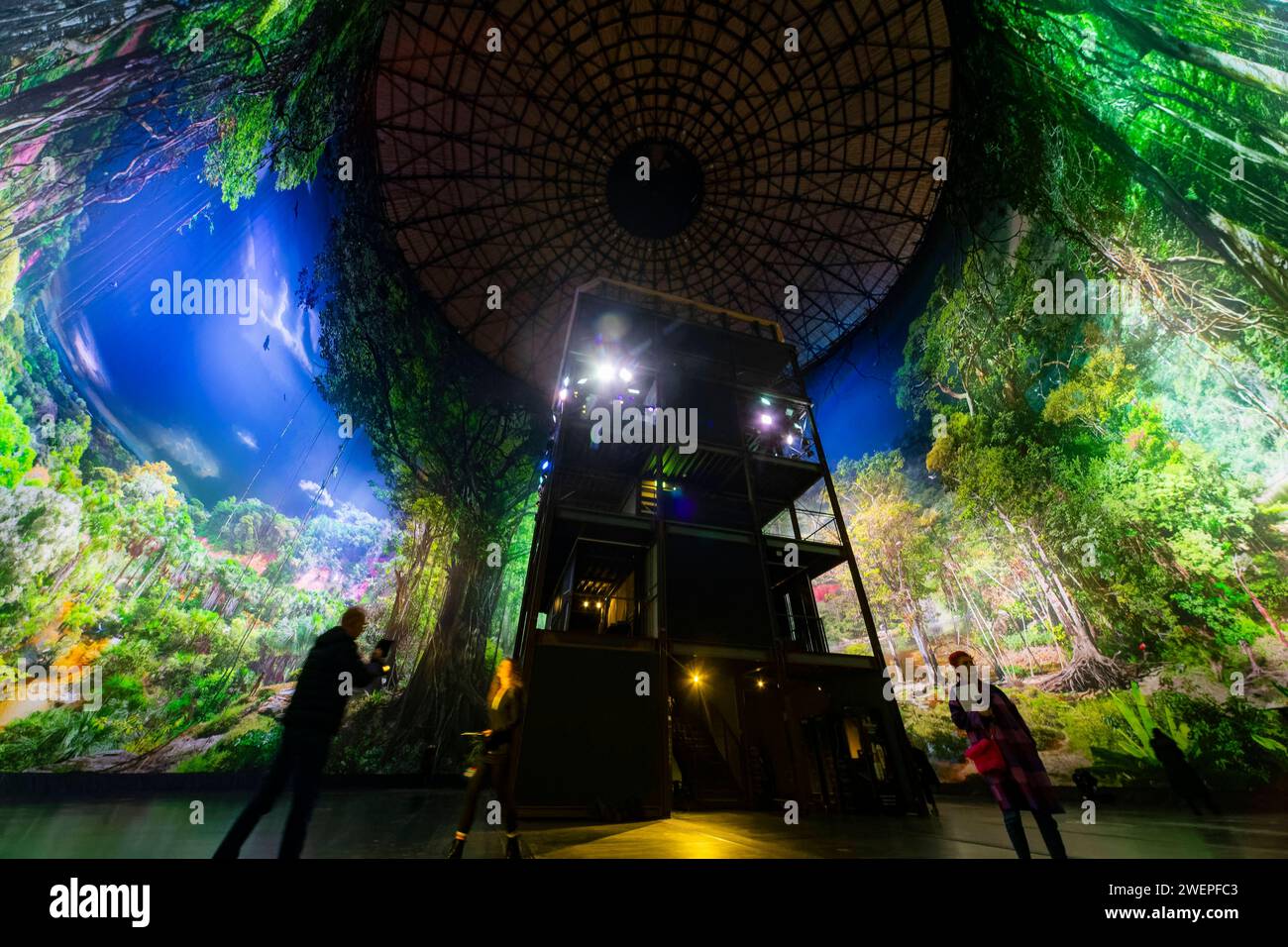 Panometer Dresden AMAZONIEN Faszination tropischer Regenwald ist ein ...