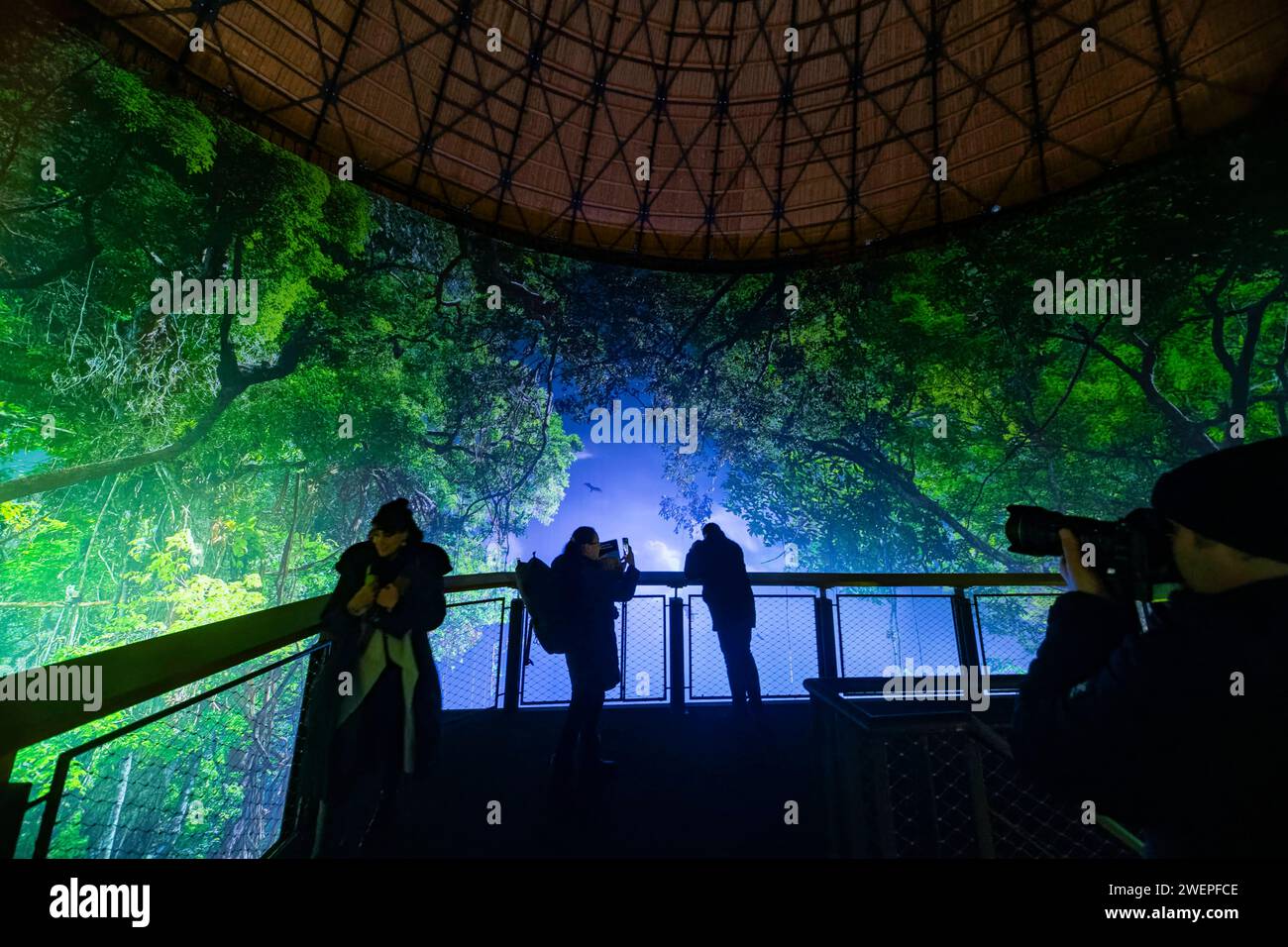 Panometer Dresden AMAZONIEN Faszination tropischer Regenwald ist ein ...