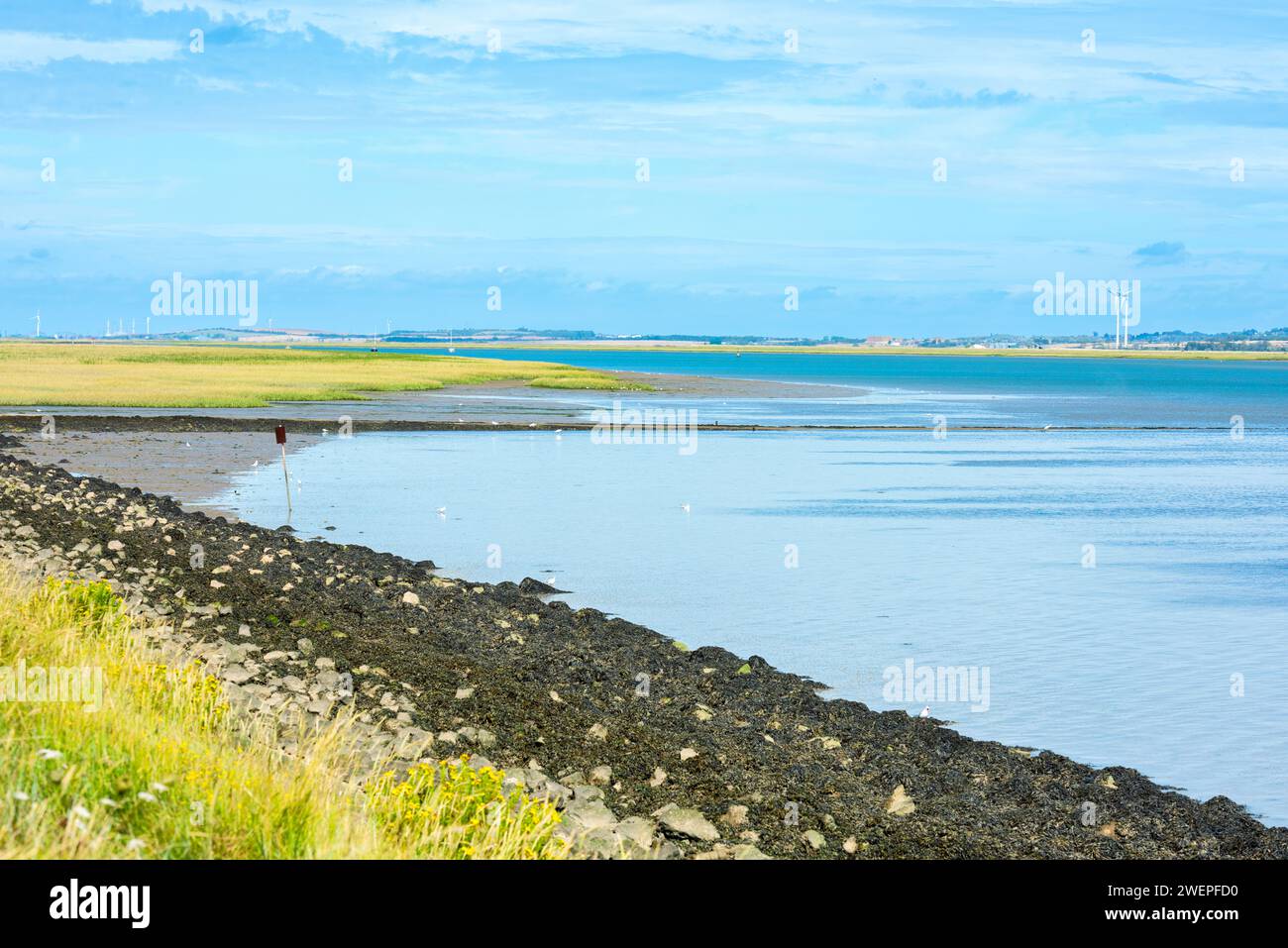 Swale Estuary taken from Oare near Faversham - Kent Stock Photo - Alamy