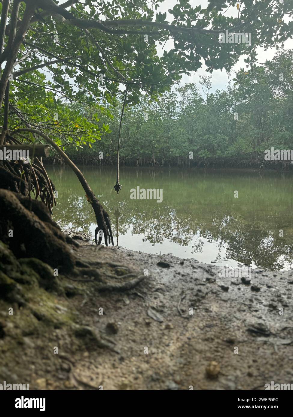 Calm, clear waters devoid of human presence Stock Photo - Alamy
