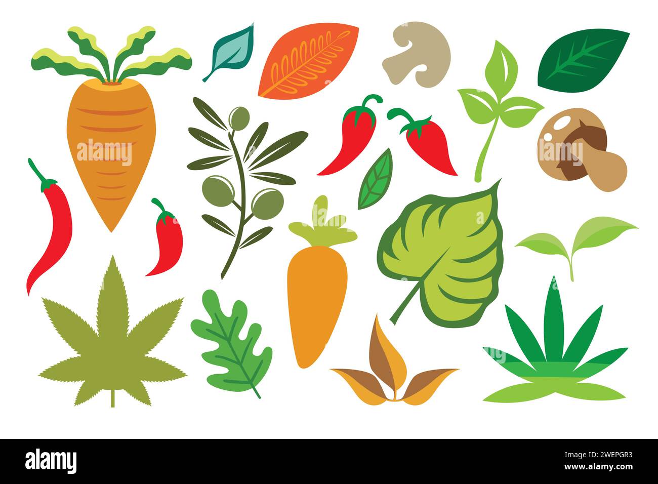 Vegetables set. Vector illustration isolated on white background. Flat ...