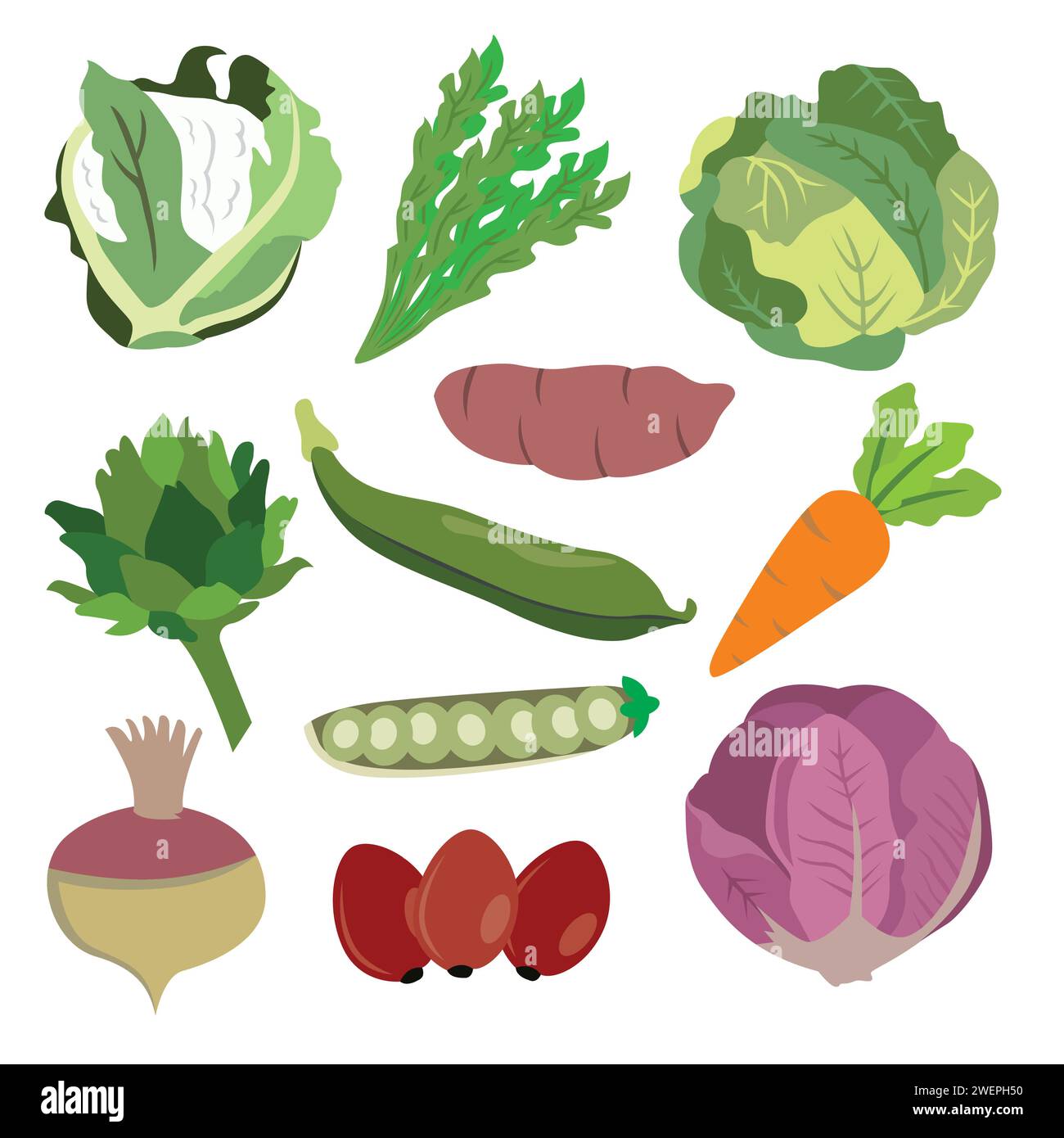 Vegetables set, vector illustration, isolated on white background Stock ...