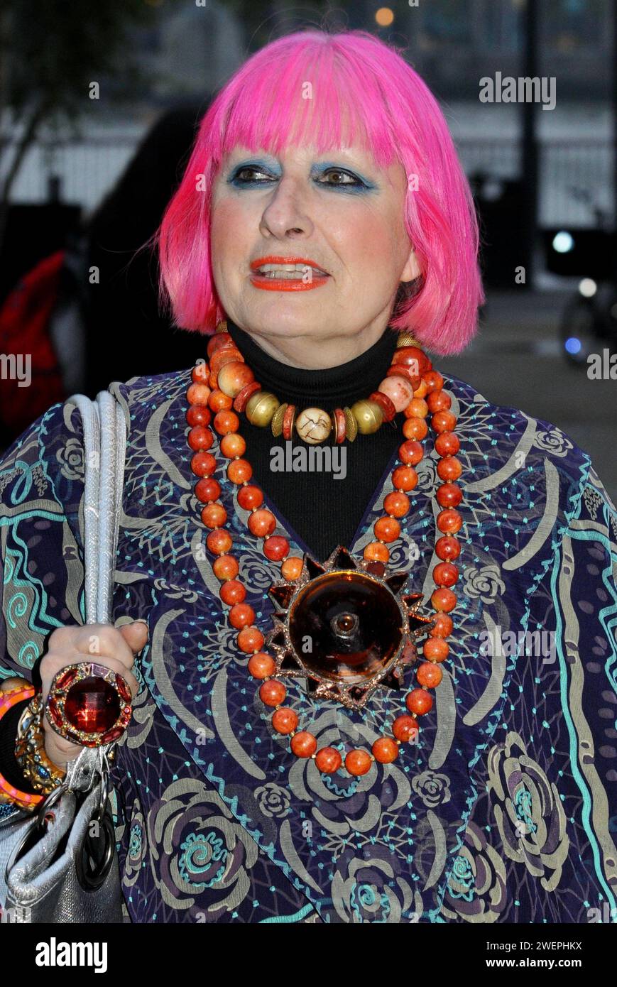 Zandra hi-res stock photography and images - Alamy