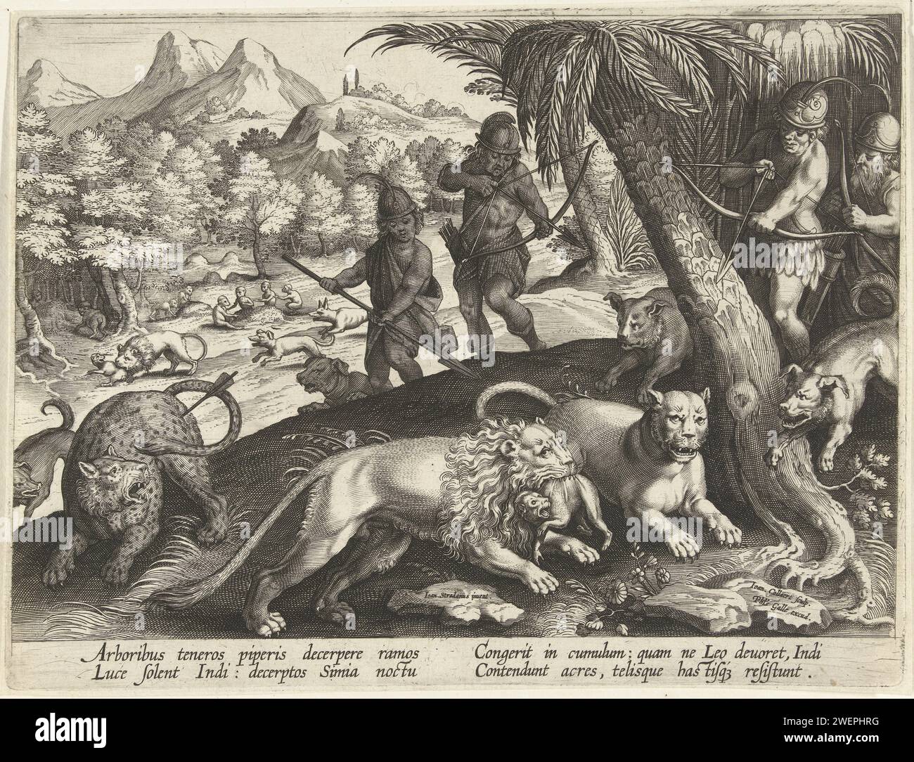 Hunting of lions and leopards with arrow and arch, Jan Collaert (II ...