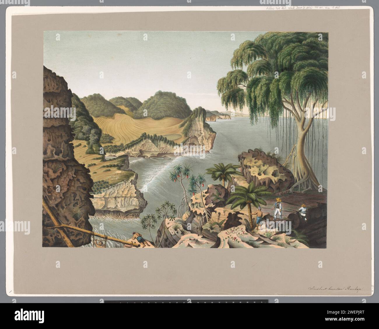 Frans wilhelm junghuhn hi-res stock photography and images - Alamy