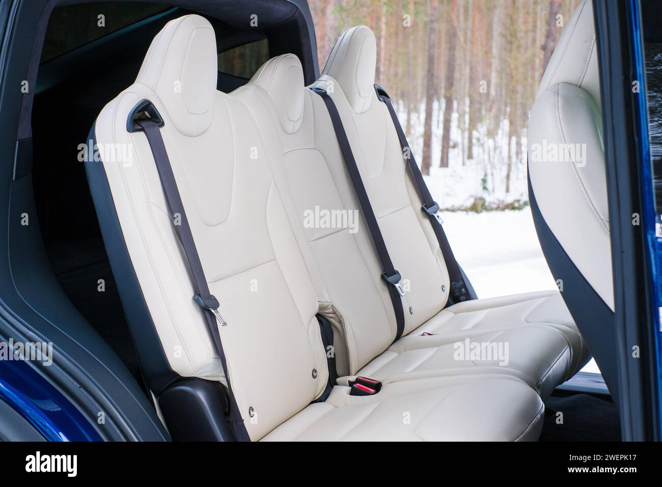 Helsinki, Finland - January 26, 2024: Tesla electric car back seat ...