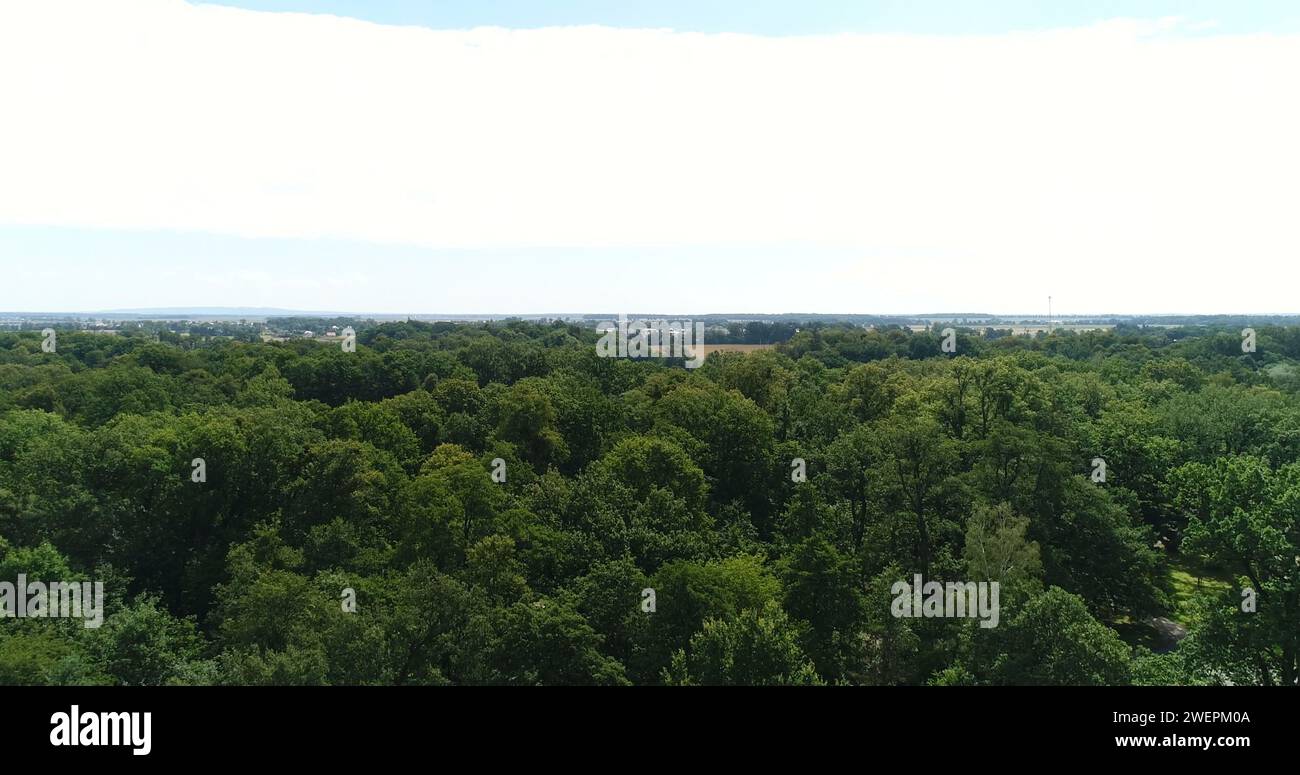 Aerial shot forest mountainside hi-res stock photography and images - Alamy
