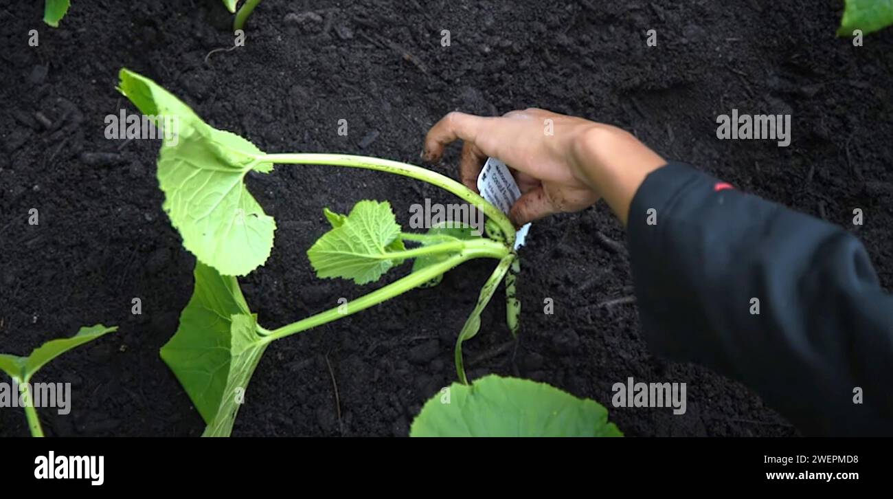 FEEDING TOMORROW, 2024. © Gravitas Ventures /Courtesy Everett ...