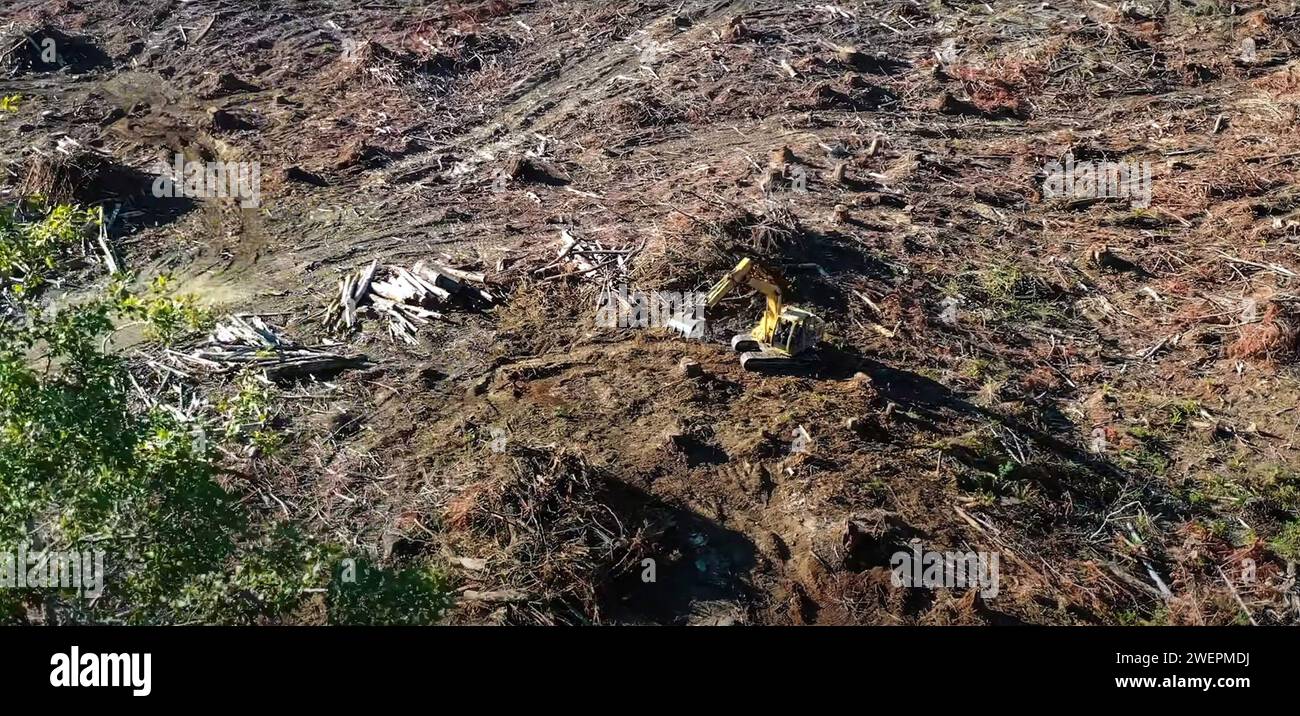 FEEDING TOMORROW, 2024. © Gravitas Ventures /Courtesy Everett ...