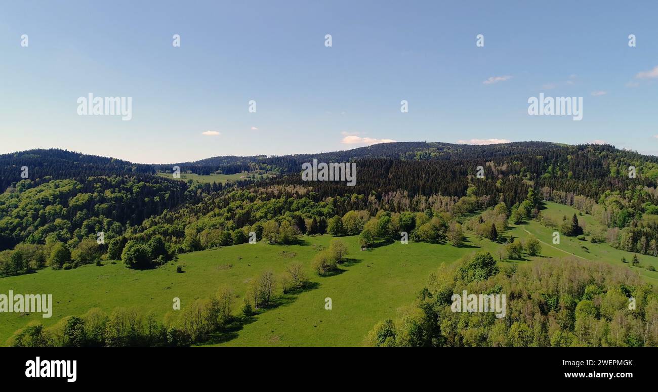 Aerial view of Forest Stock Photo - Alamy