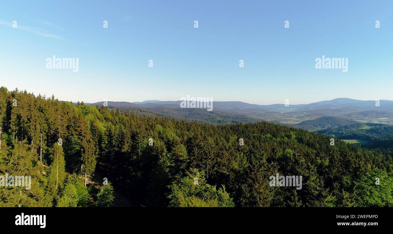 Aerial view of Forest Stock Photo - Alamy