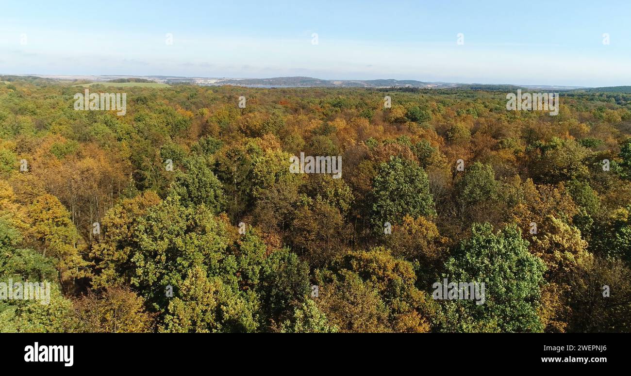 Flying over forest trees. Nature - Aerial Views Stock Photo - Alamy