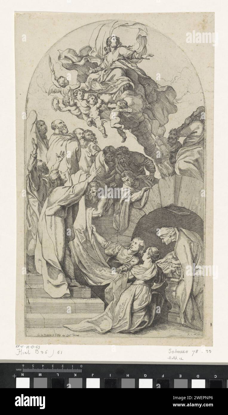 Ascension of Maria, Willem Panneels, after Peter Paul Rubens, c. 1610 ...