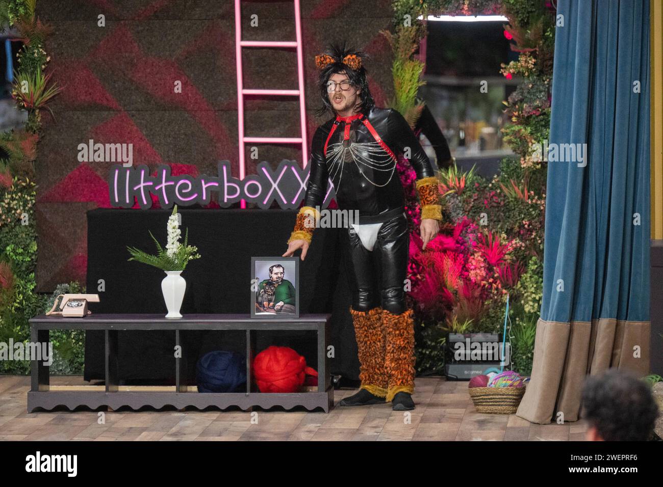 LOL: LAST ONE LAUGHING IRELAND, Tony Cantwell, (Season 1, premiered Jan ...