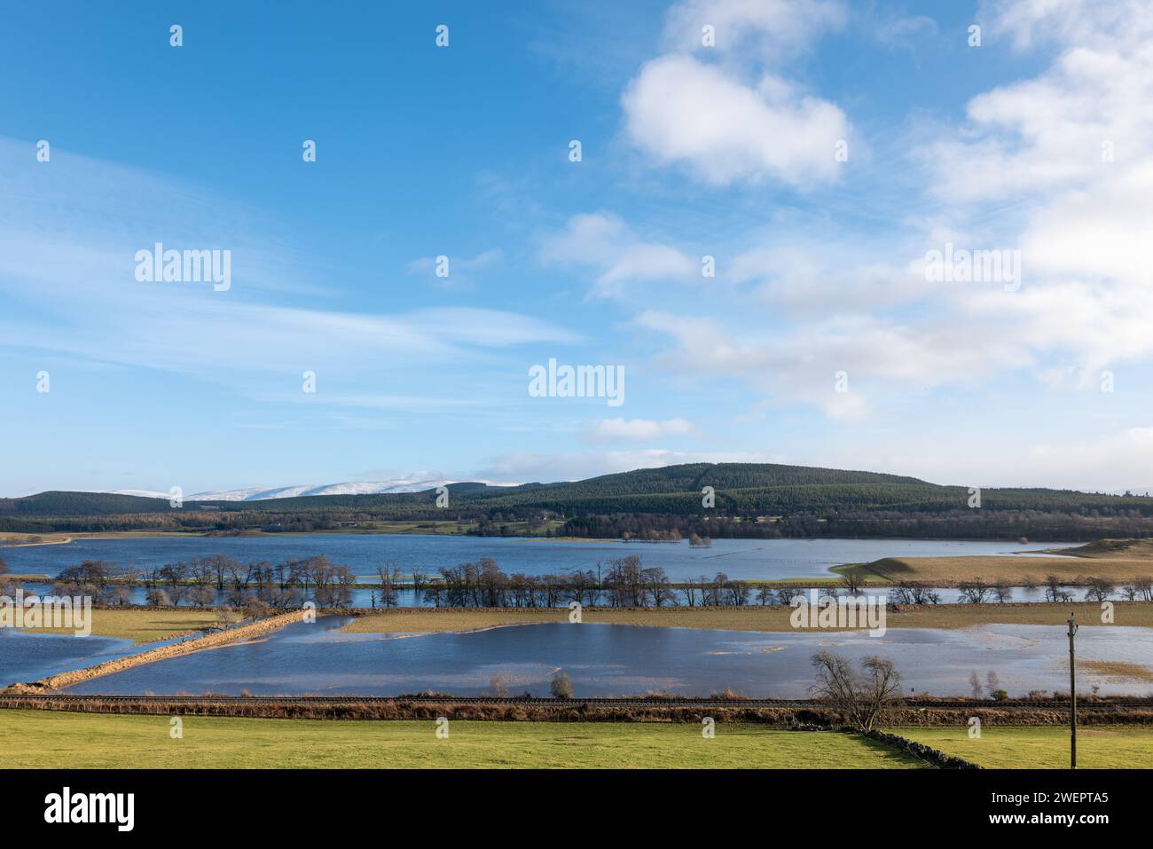 26 January 2024. River Spey Valley near Aviemore,Highlands,Scotland ...