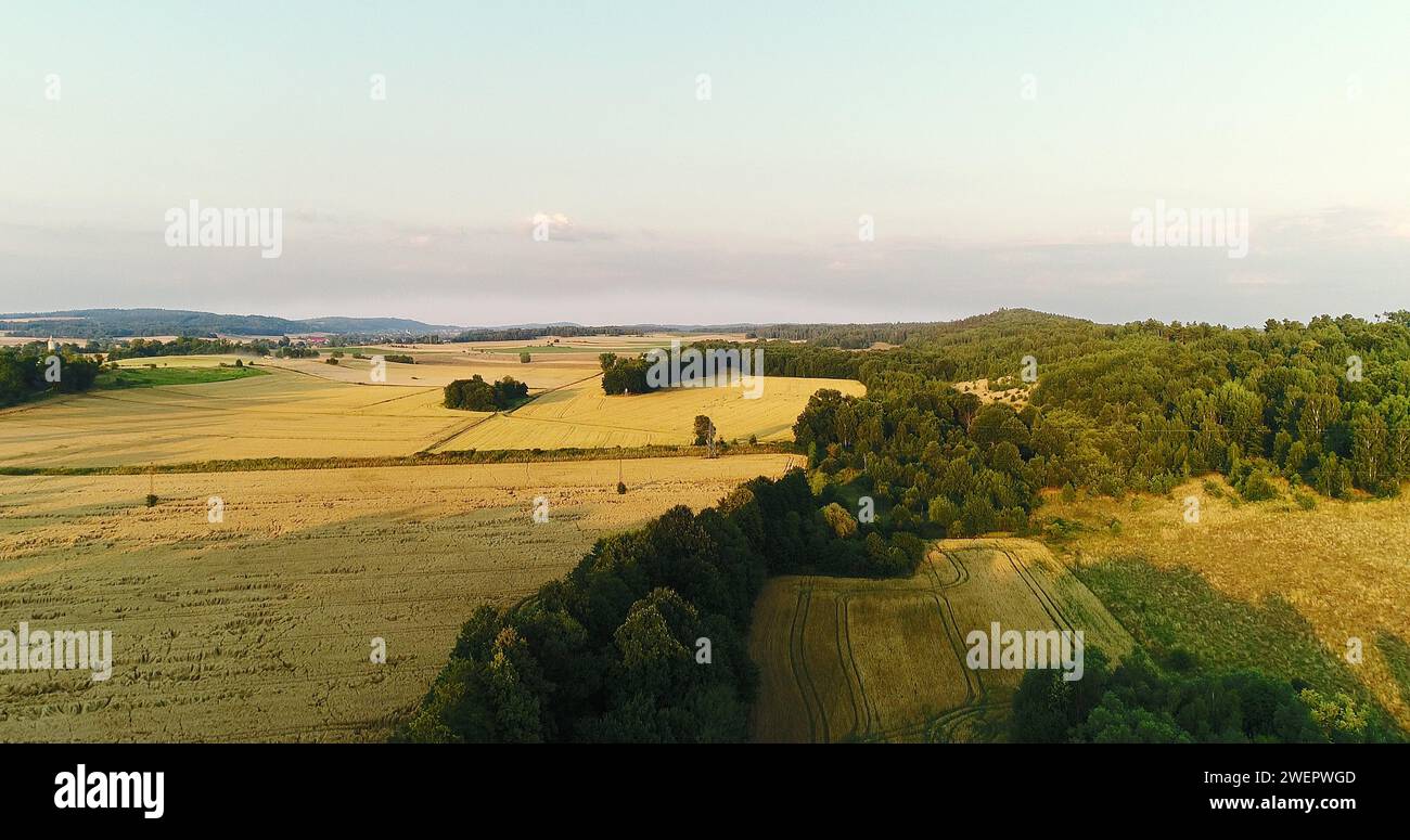 Aerial view sunrise, sunset over of Forest Stock Photo - Alamy