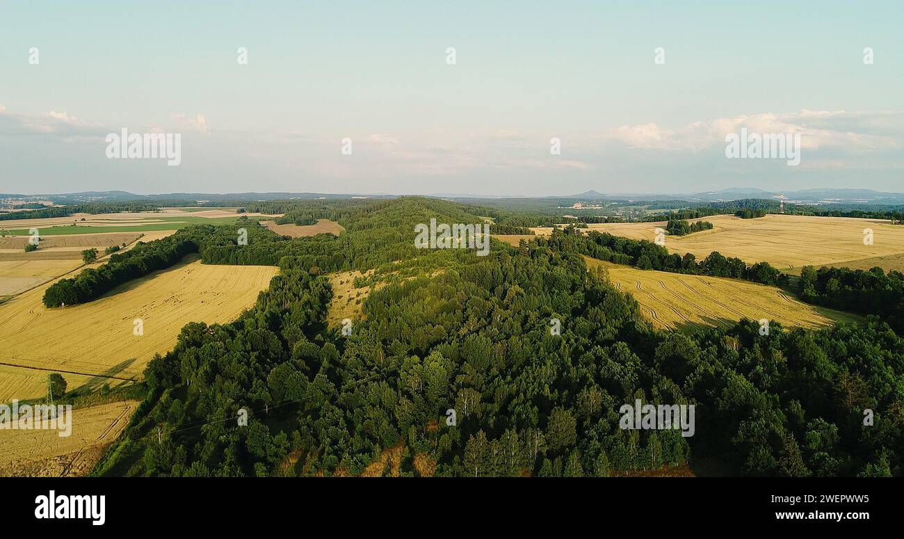 Flying over magical misty forest hi-res stock photography and images ...