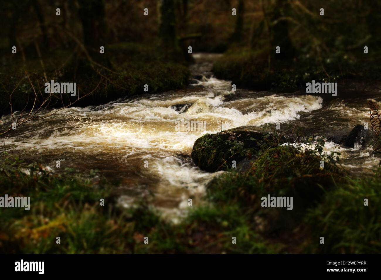 A serene river flowing through a lush hillside, bordered by a charming ...