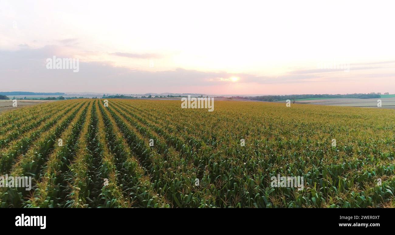Flight over cultivated agricultural field hi-res stock photography and ...