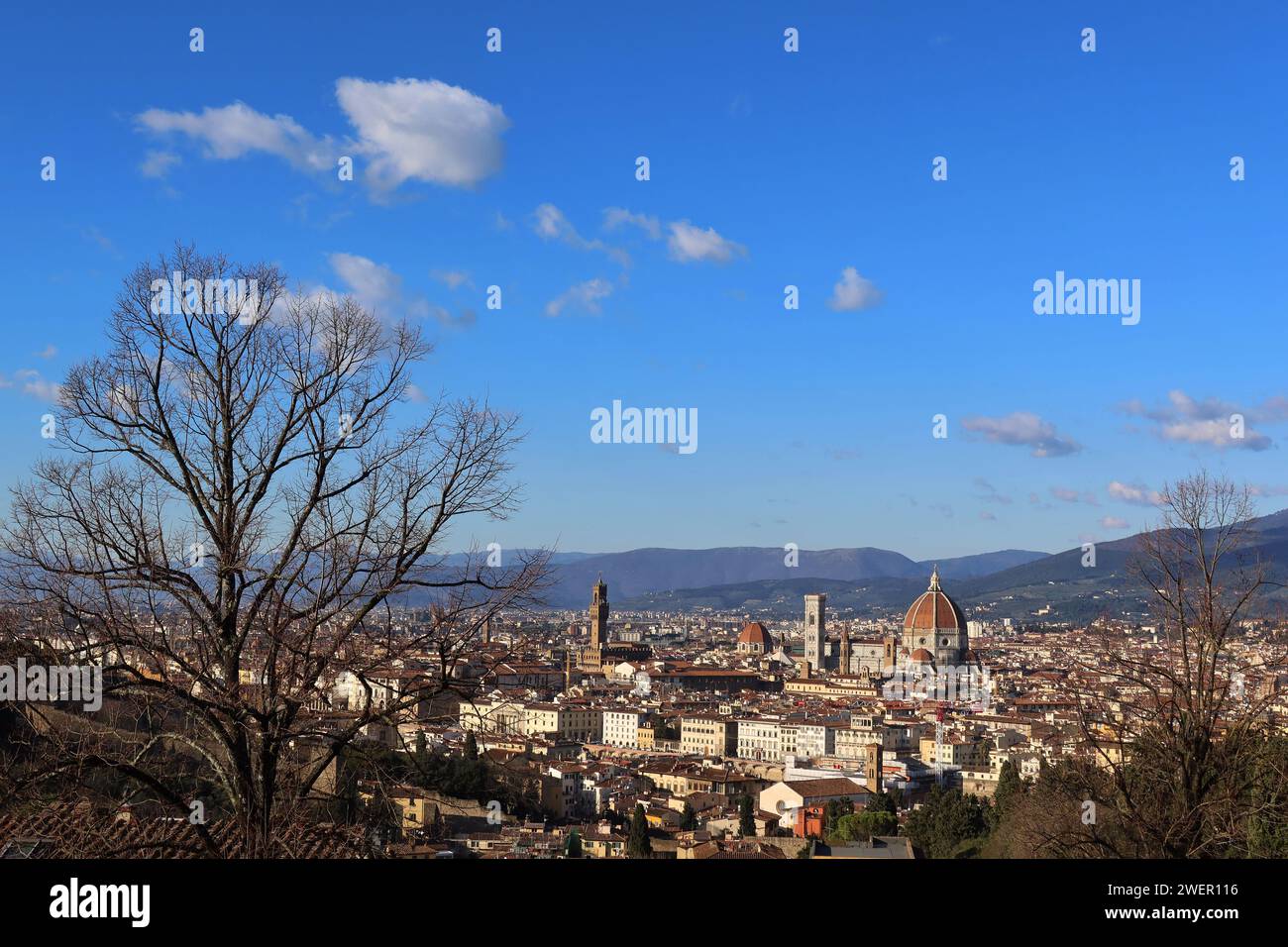 This panoramic view of Florence captures the essence of the city in ...