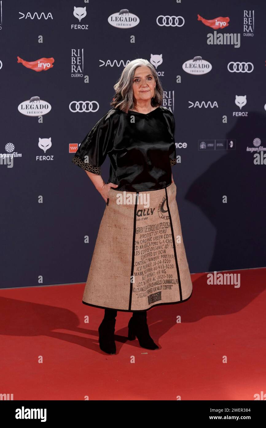 The actress Ane Gabarain, poses on the red carpet before the gala of ...