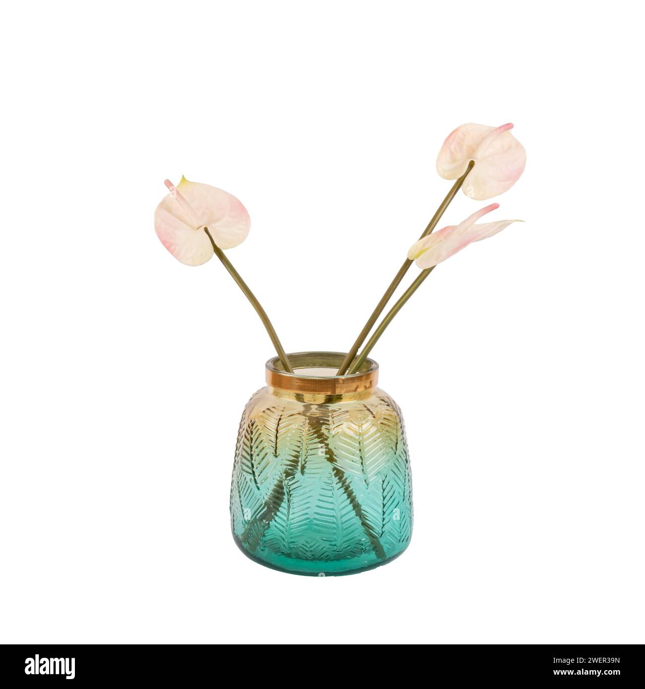 luxury decorative glass vase with flowers isolated on white background ...