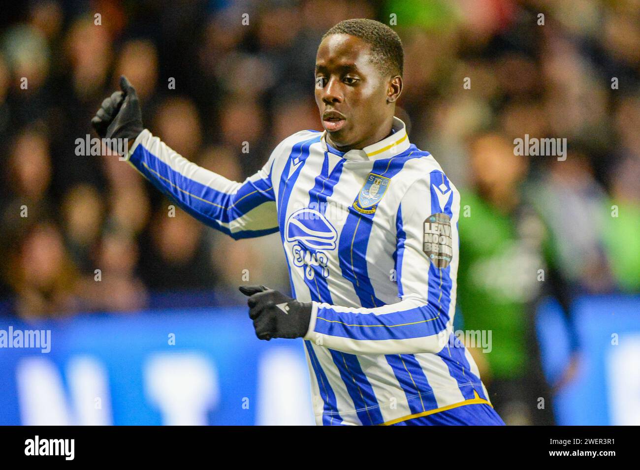Djeidi Gassama of Sheffield Wednesday during the Emirates FA Cup Fourth ...