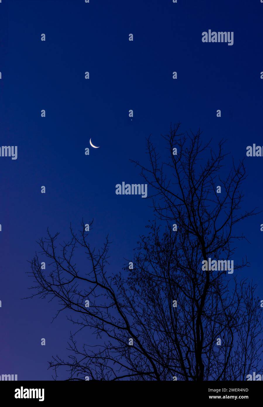 Crescent moon rising on a November evening in northern Wisconsin Stock ...