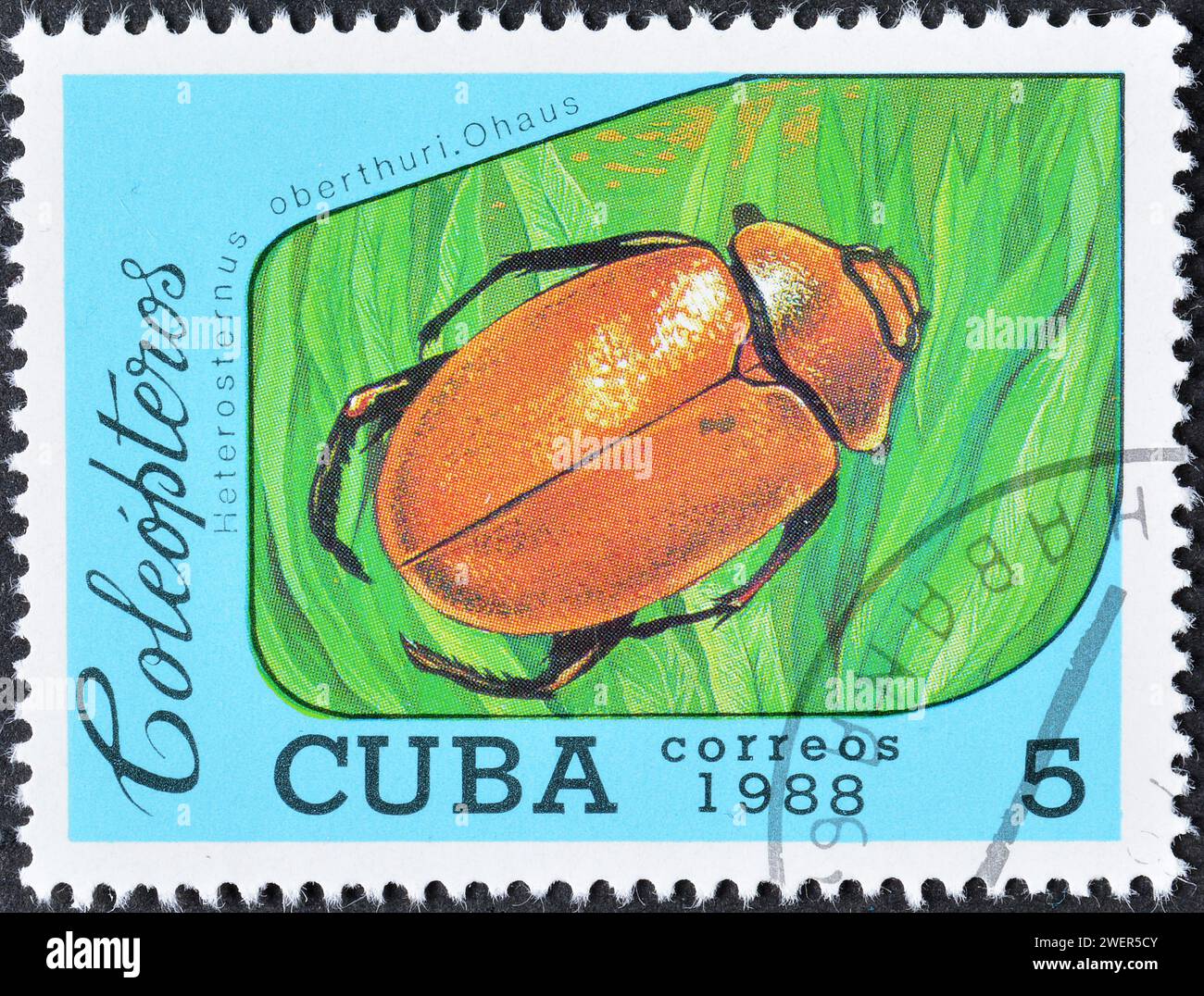 Cancelled postage stamp printed by Cuba, that shows Scarab Beetle ...