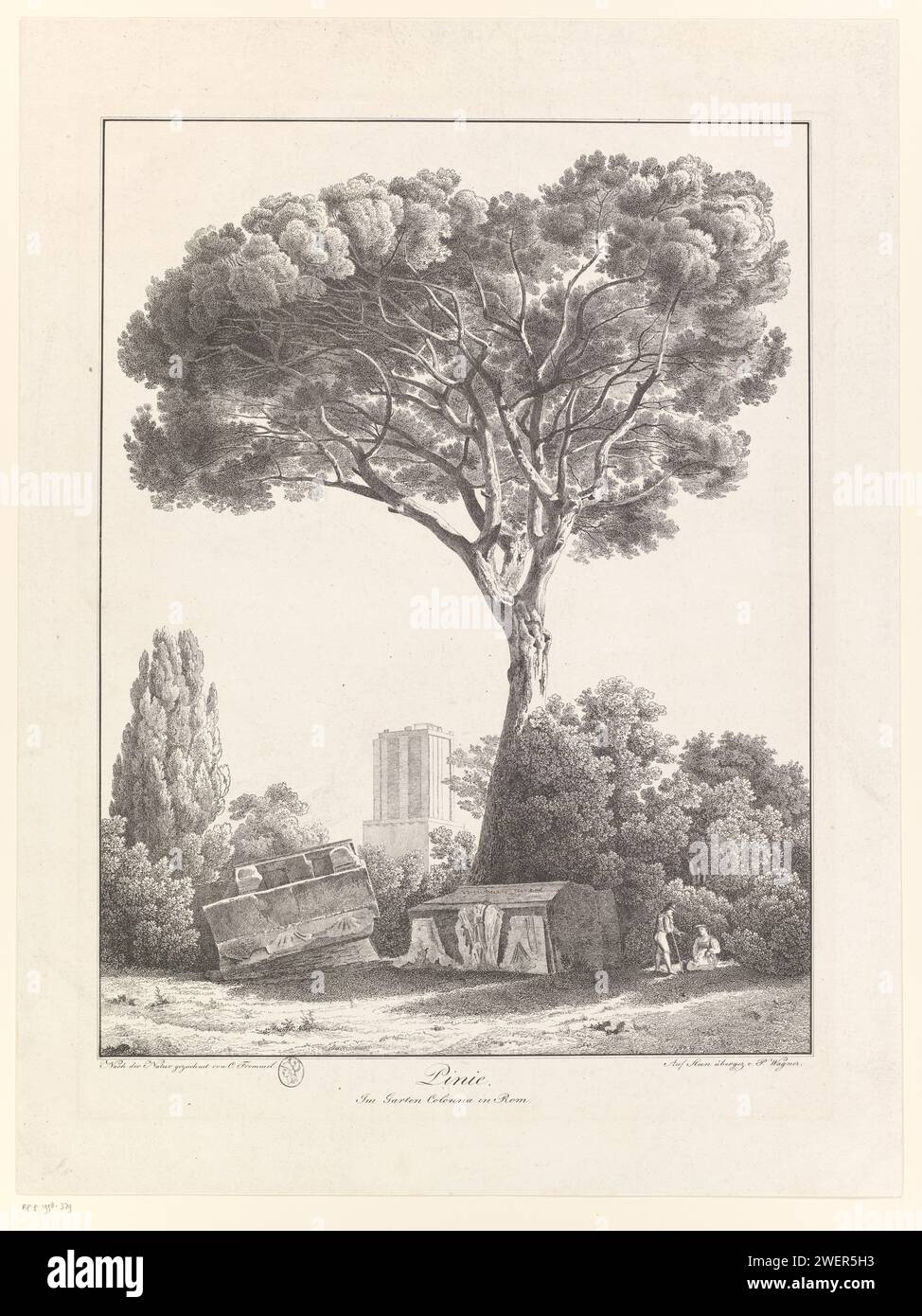 Pijnboom in the garden of Colonna in Rome, Johann Peter Wagner, after ...