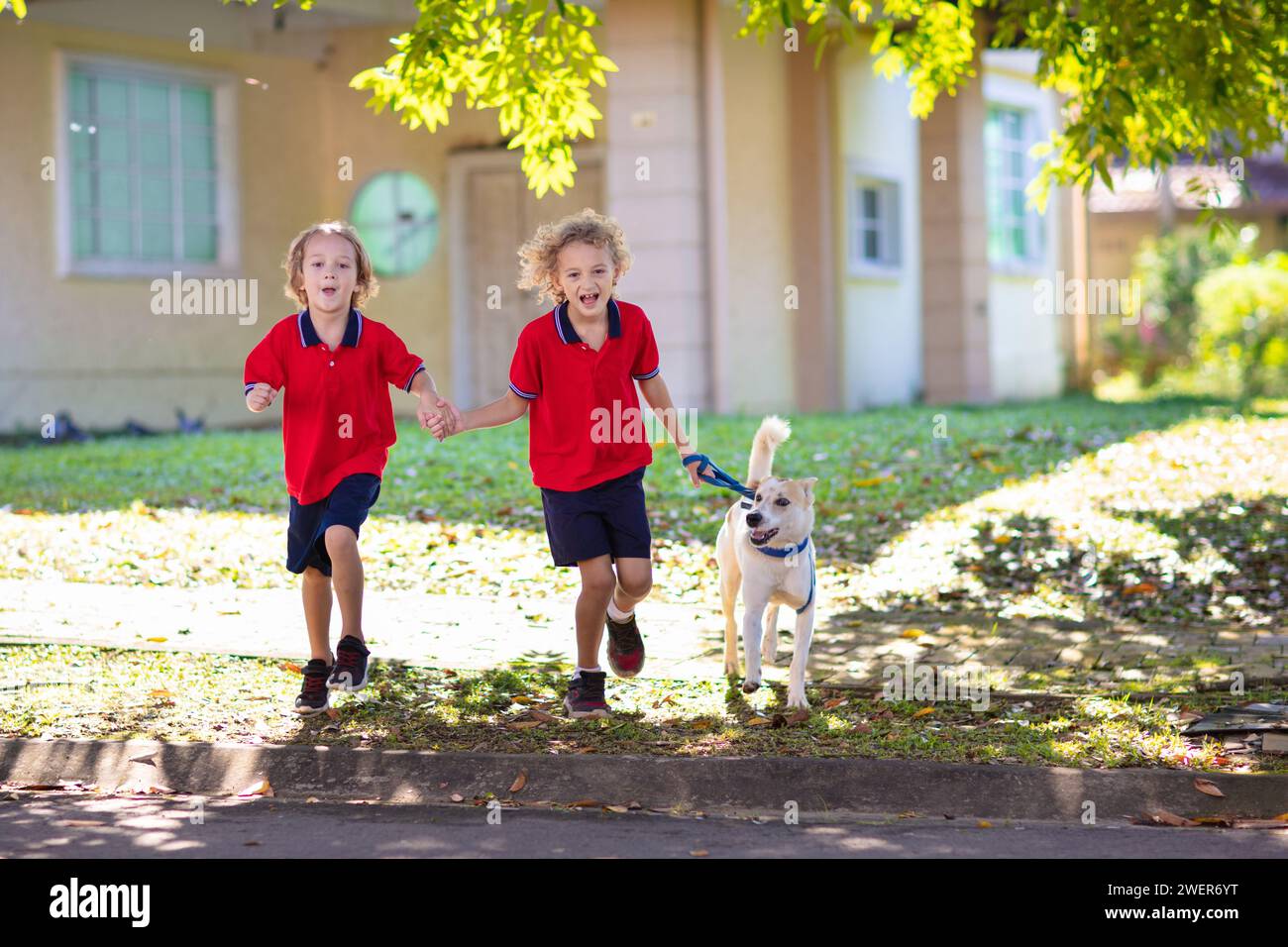 Child walking dog. Kid playing with cute puppy. Little boy running with ...