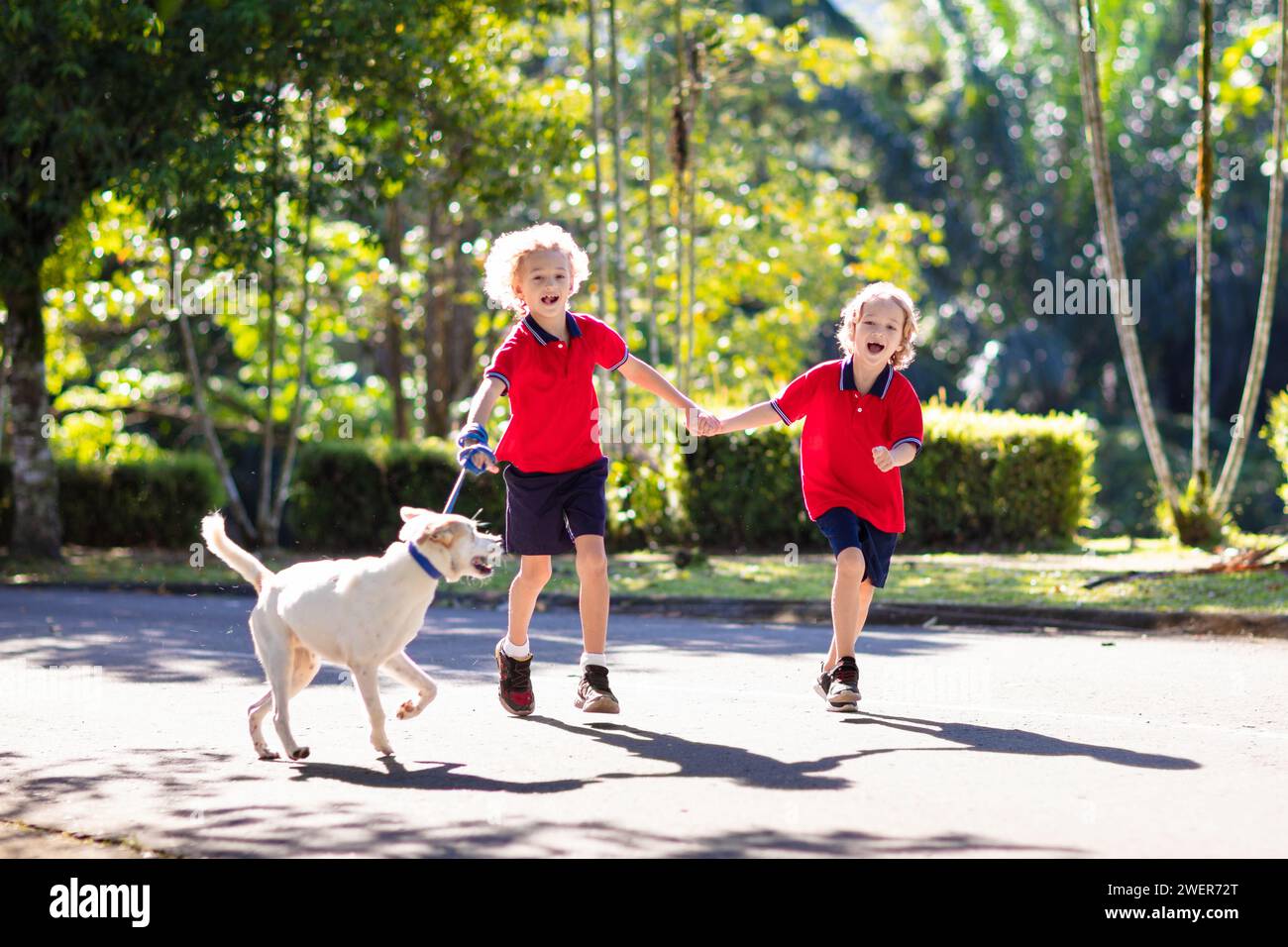 Child walking dog. Kid playing with cute puppy. Little boy running with ...