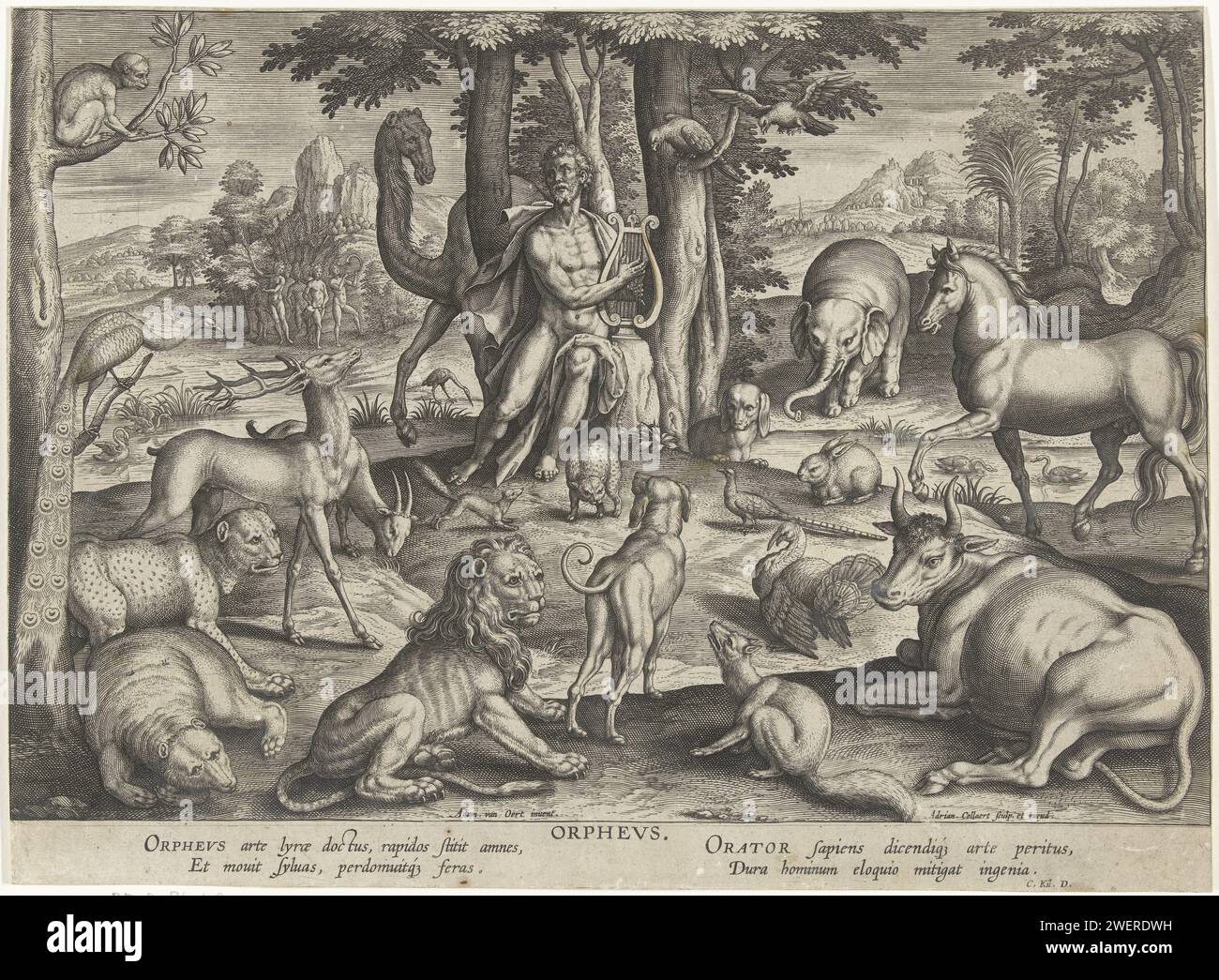 Orpheus sits hi-res stock photography and images - Alamy