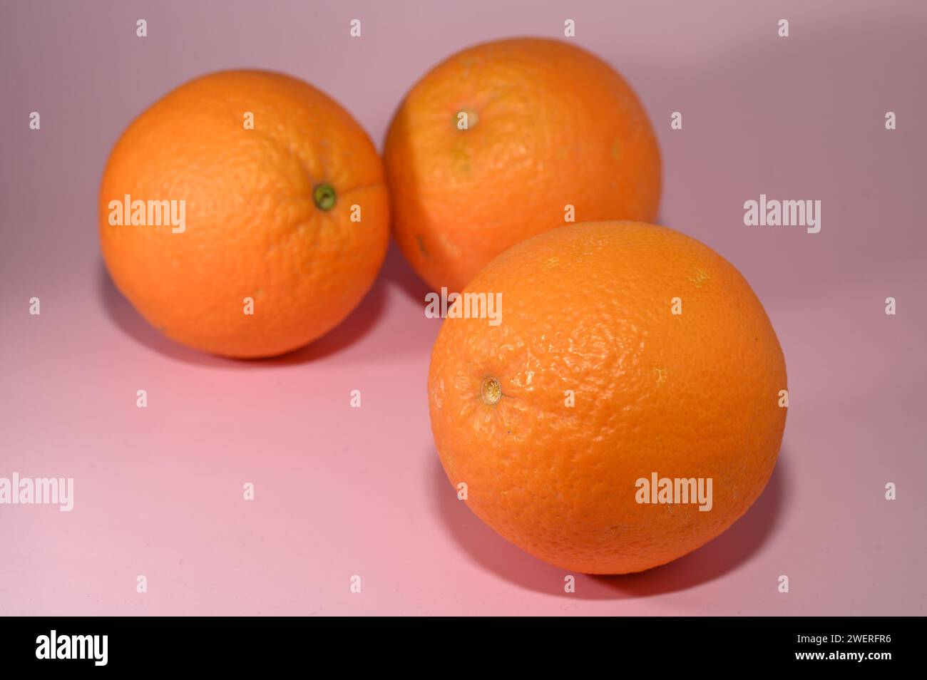 three juicy oranges on a pink background studio shooting Stock Photo ...