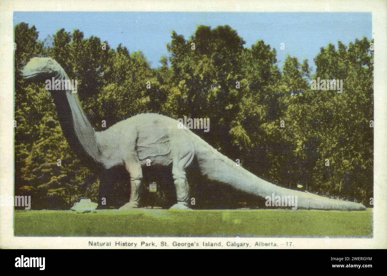 Vintage postcard of the Natural History Park, St. George Island ...