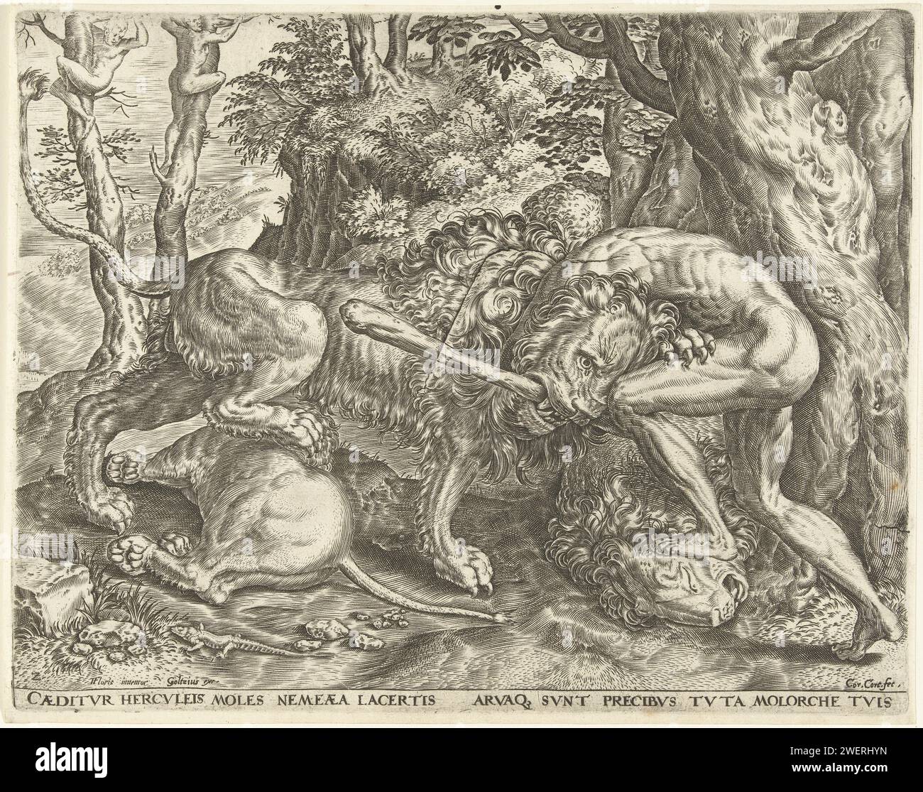 Hercules strangles the Nemean Lion, Cornelis Cort, after Frans Floris (I), in or after 1563 ...