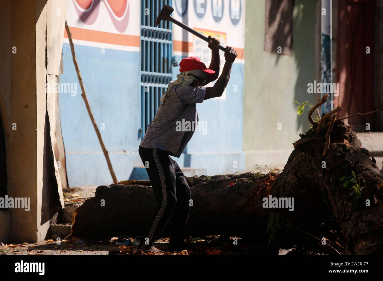 A man chops a fallen tree in the street of Port-au-Prince, Haiti ...