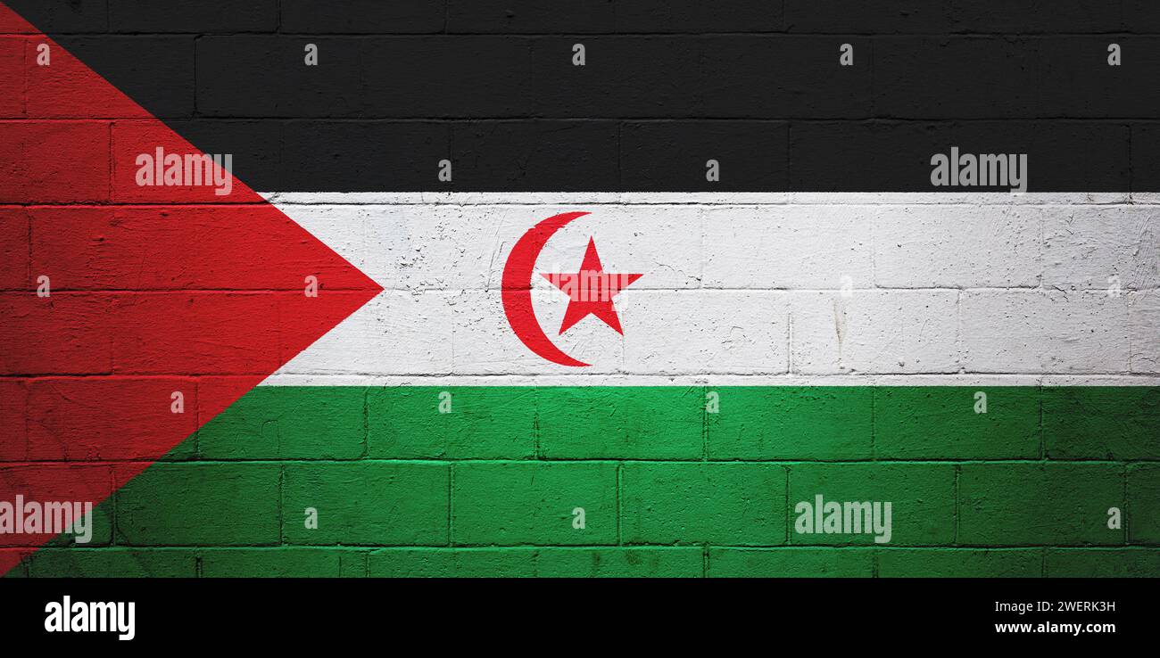 Flag of the Sahrawi Arab Democratic Republic painted on a brick wall ...